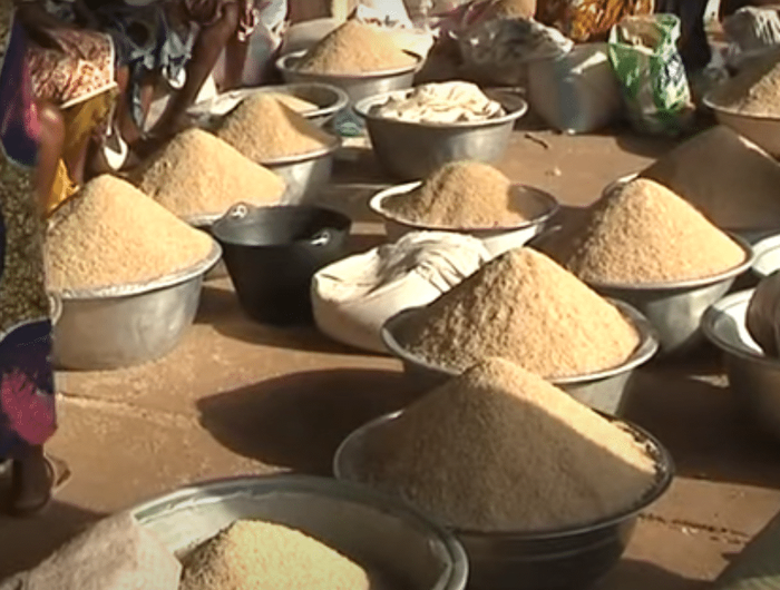 Management of weeds in rice - FO-Video-Library