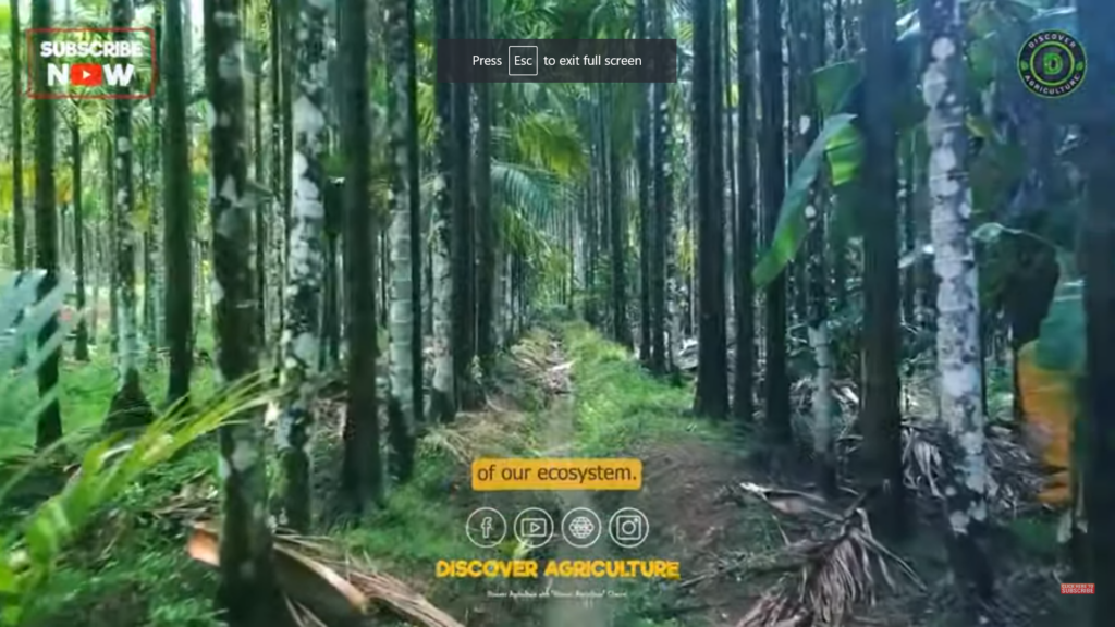 Planting Trees: The Importance of Trees in Our Ecosystem and the ...